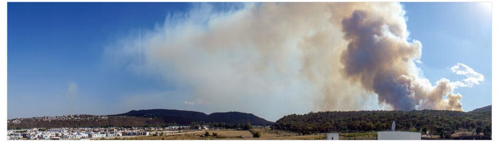 Firefighting Hoses: Rapid Deployment Solutions from Sterling